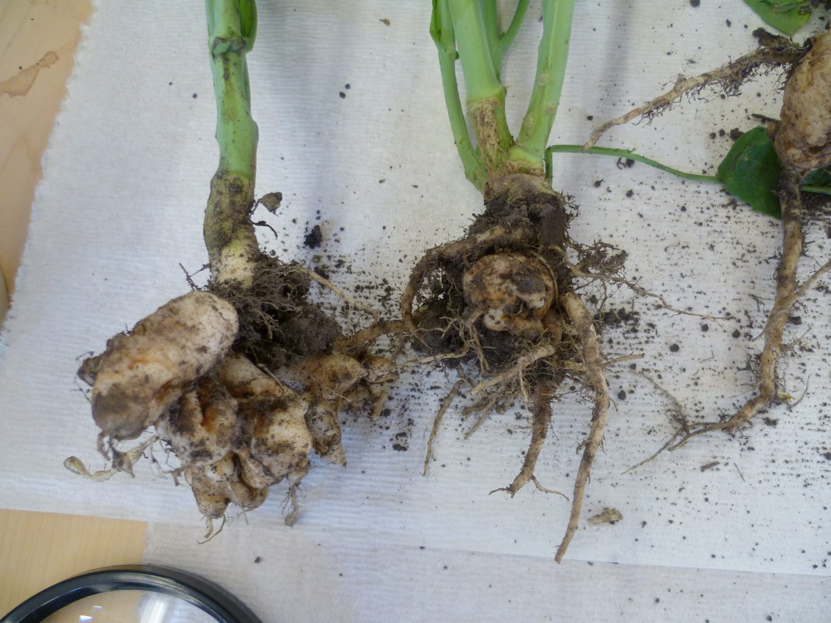 Home - Yellowhead County